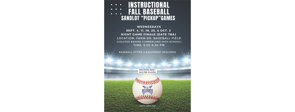 Home [www.cybsl.net]